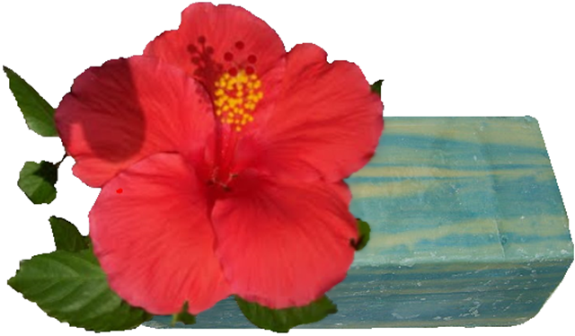 Medianoche Tropical: Usos de la Cayena